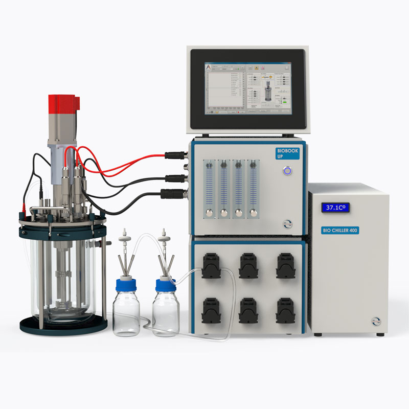 Single-Use Bioreactors
